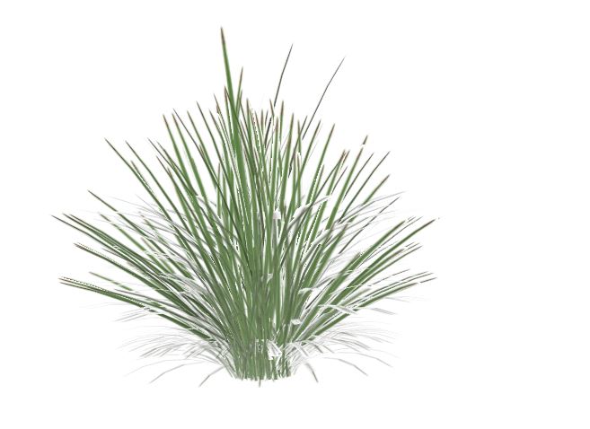 Kaslik Workshop | 3d Grass