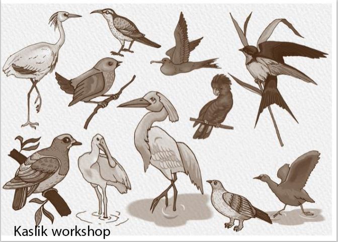 Kaslik Workshop | Bird 1